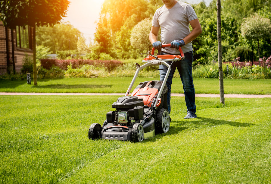 Lawn Care And Maintenance What It Is And Why Hire Professional Lawn Care And Maintenance What It Is And Why Hire Professional